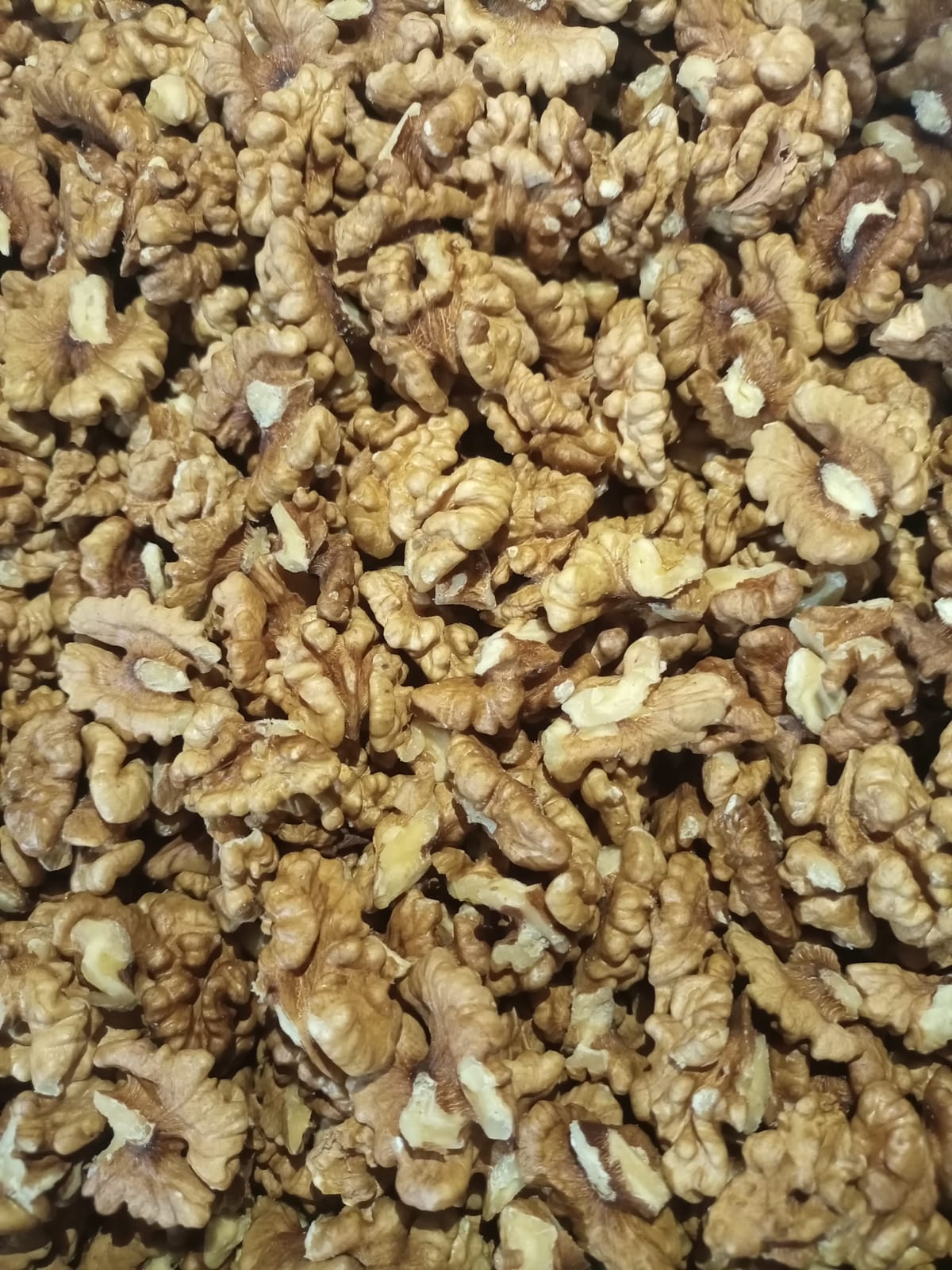 شراء الجوز السوري بالجملة شراكة موثوقة 100% لتجار الجملة